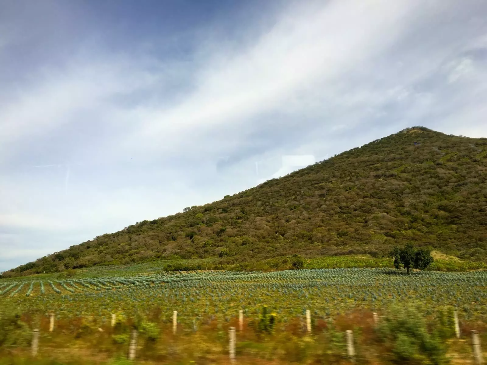 Top 100 des vins d'Atesino delle Venezie